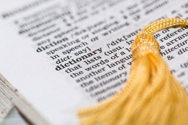 How to use Microsoft Edge Built-in Dictionary Feature?